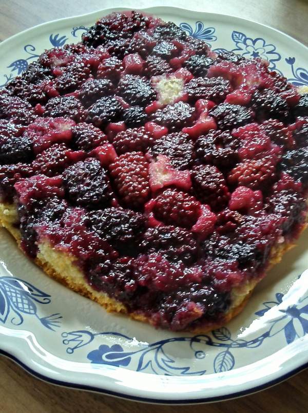 Win a cookbook signed by Nigella in the August Cookalong! | Cookalong ...